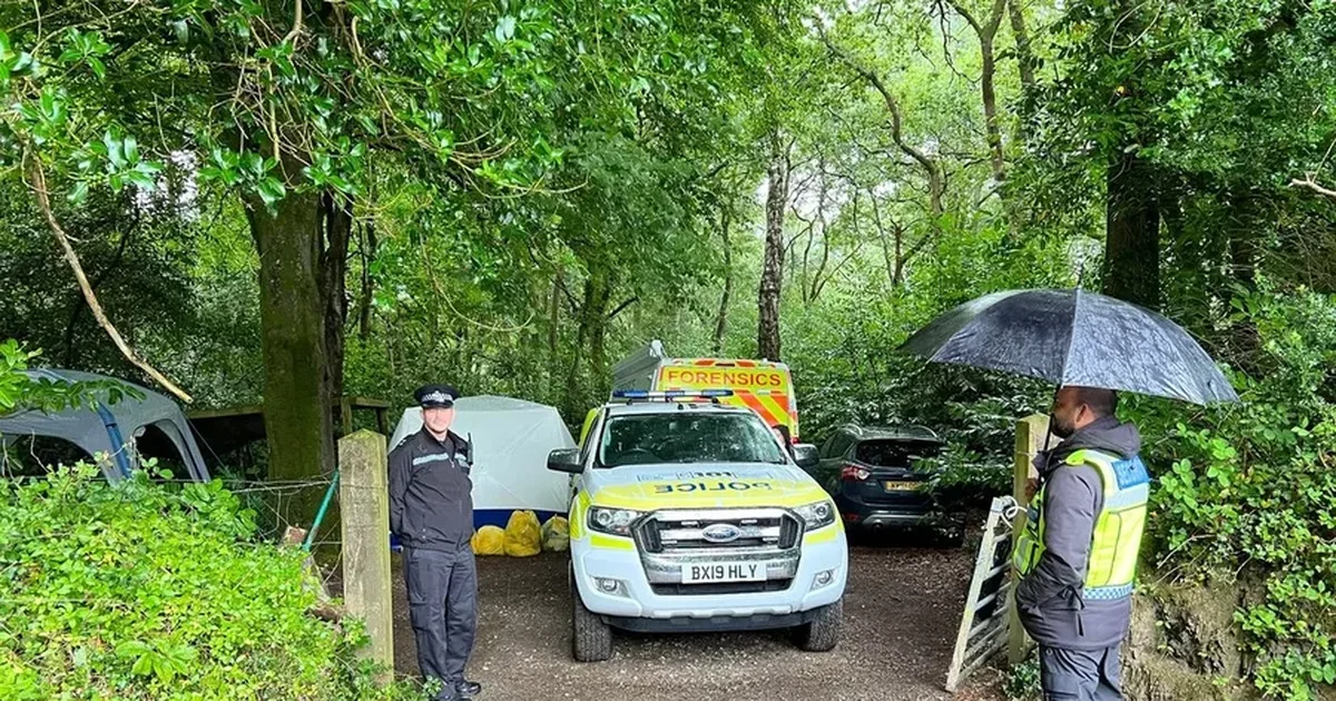 Dhjetëra kufoma në pyll, tronditet Britania e Madhe! Si u zbuluan ...